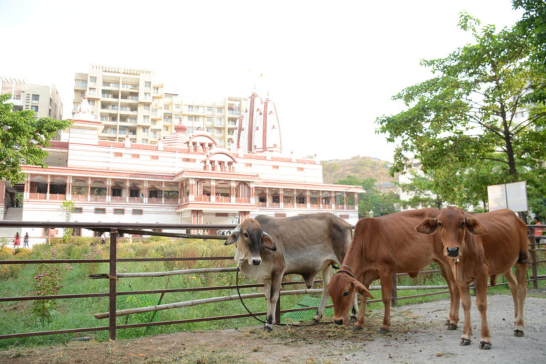 ISKCON NVCC - ISKCON