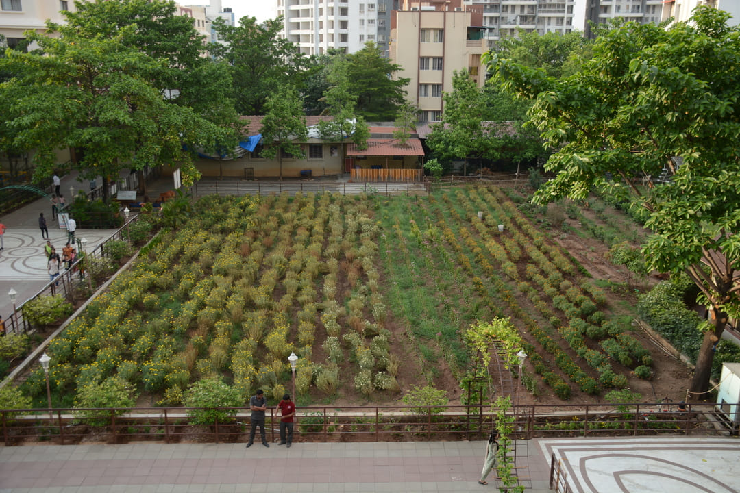 ISKCON NVCC - ISKCON